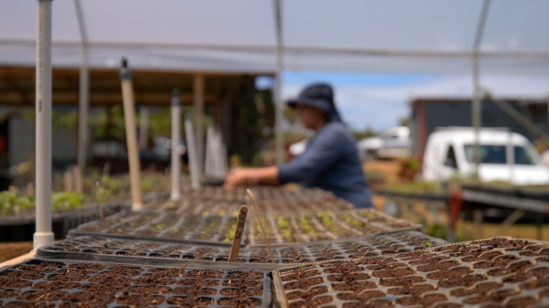 "Small Changes, Big Impact: How You Can Reduce Your Carbon Footprint ...